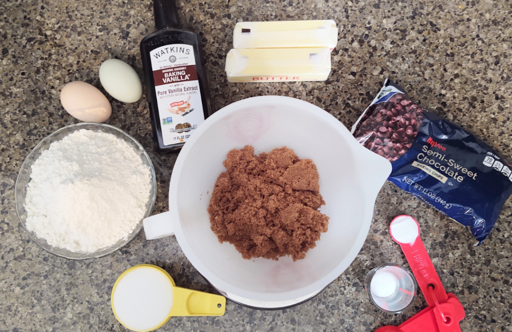 Thick and Chewy Chocolate Chip Cookies - Hawkinson Homestead