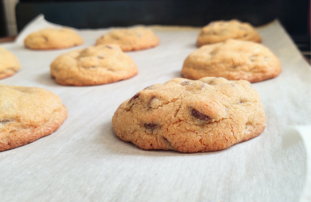 Thick and Chewy Chocolate Chip Cookies - Hawkinson Homestead