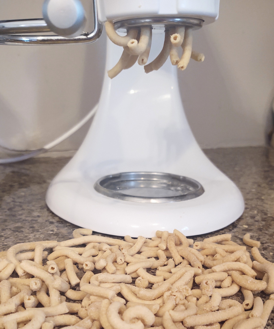 Freshly Milled Durum Wheat Pasta Noodles with machine - Hawkinson Homestead