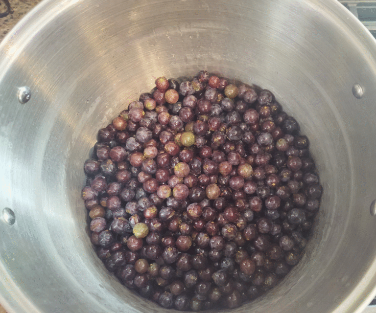 Concord Grape Jelly - Hawkinson Homestead